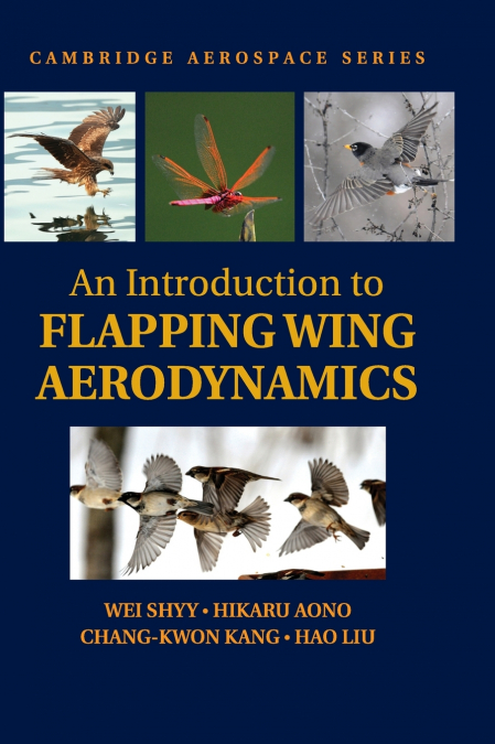 An Introduction To Flapping Wing Aerodynamics - Chang-Kwon Kang/Hikaru ...